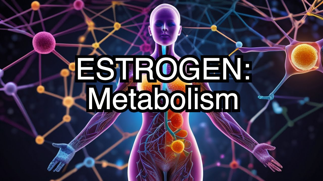 Decoding Estrogen: Exploring Its Impact and Path in the Body - YouTube