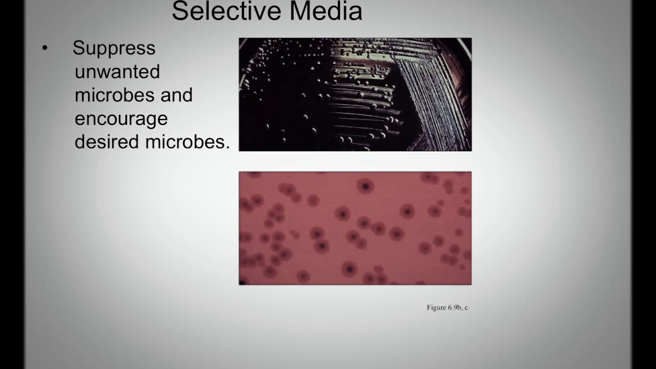 What’s Selective Media ? - YouTube