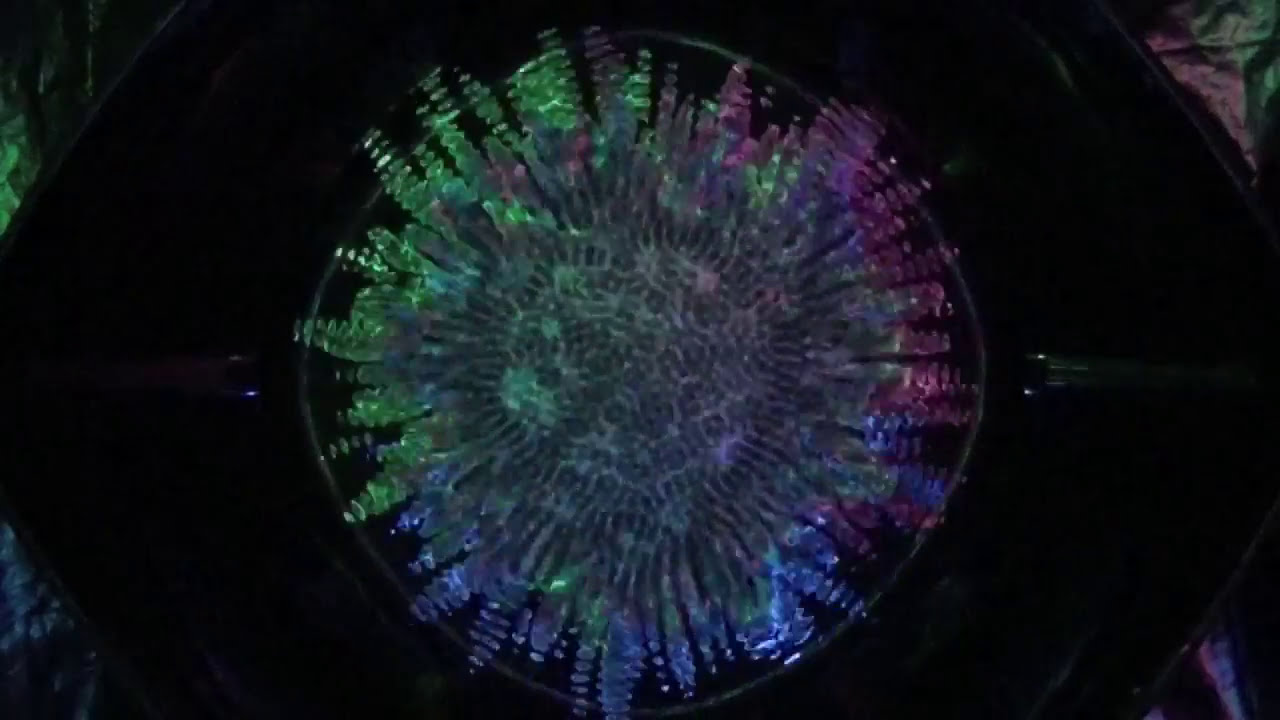 CYMATICS-CIMATICA-CYMATIC: Experiment 2 - YouTube