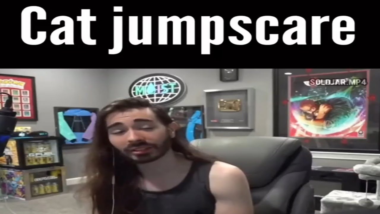 moist critical cat jumpscare - YouTube