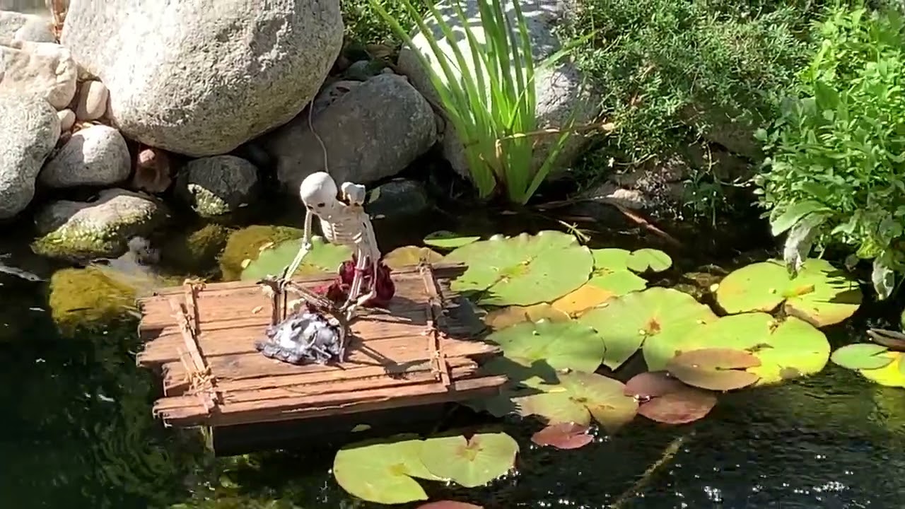 Neighborhood Pond - YouTube