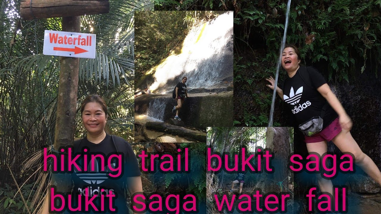 Hiking trail bukit saga& waterfall - YouTube