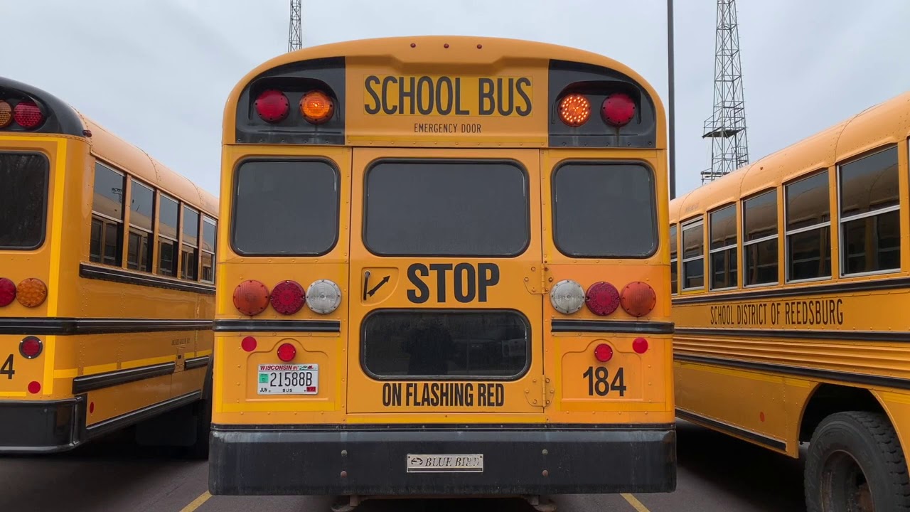 Red Lights Mean STOP - It's National School Bus Safety Week - YouTube