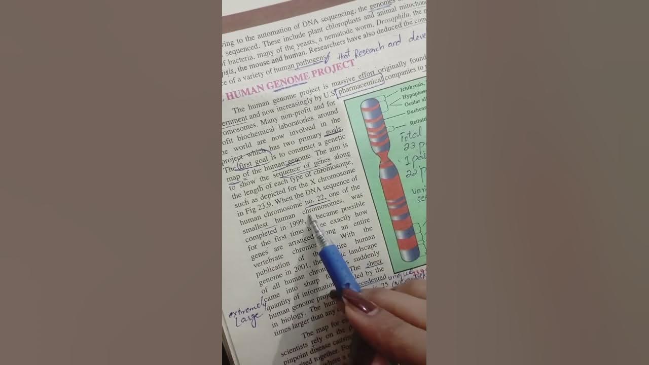 Lecture No 6. Chapter No 23 Biology (Second Year) Human Genome Project - YouTube