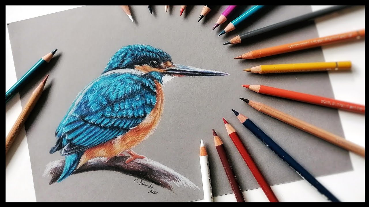 Eisvogel mit Buntstift zeichnen - 10.000 Abonnenten Livestream Special ...