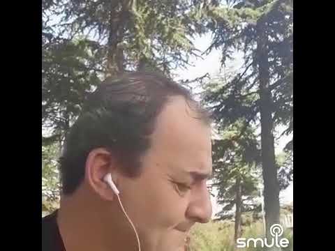 SEVDA YELLERİ......
