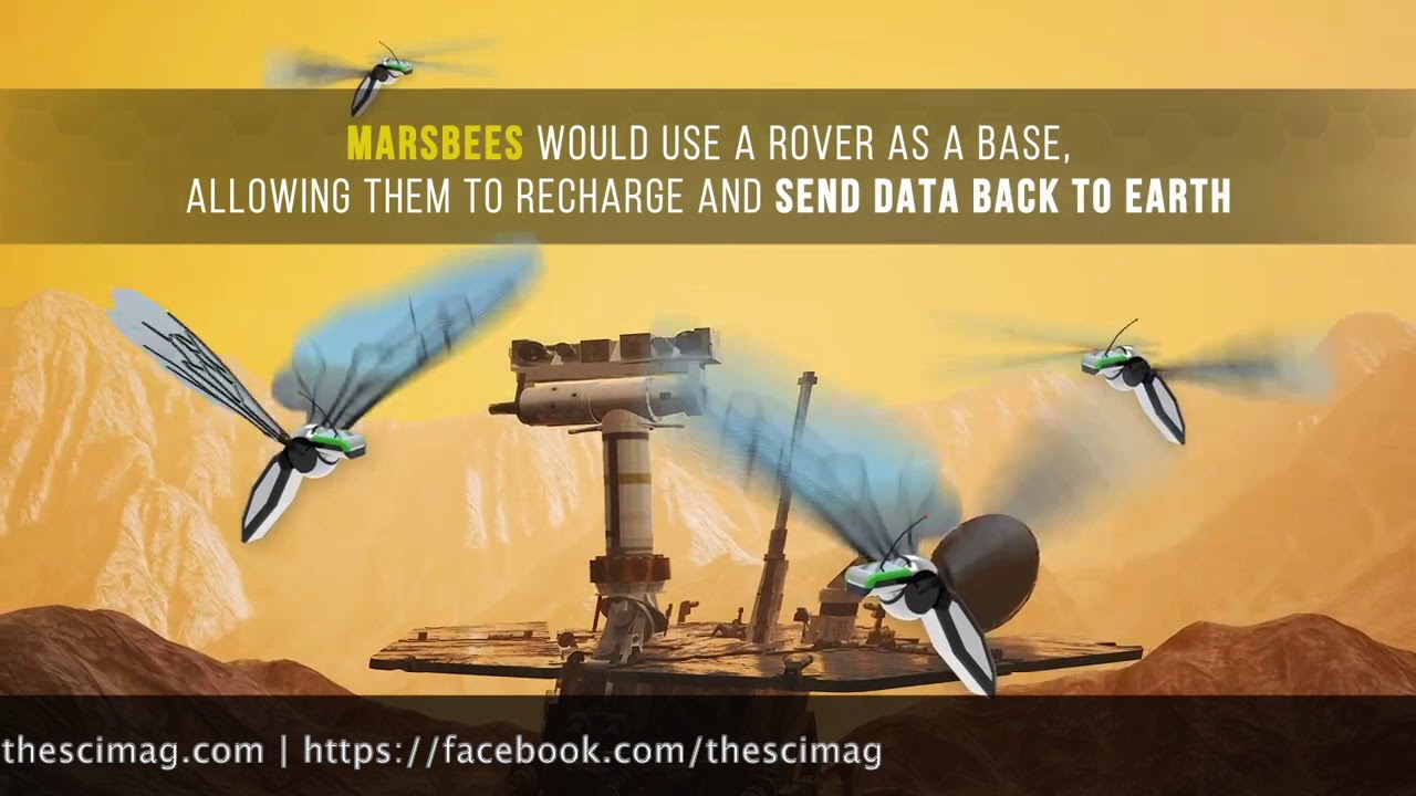 Robotic Bees Designed to Explore Mars - YouTube