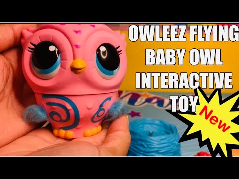 OWLEEZ FLYING BABY OWL INTERACTIVE TOY | UNBOXING AND TOY REVIEW - CT ...
