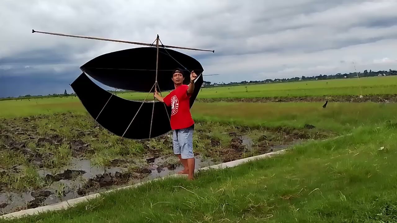 PEGON POLOS PAK TEK SUWARA DOMPENG - YouTube