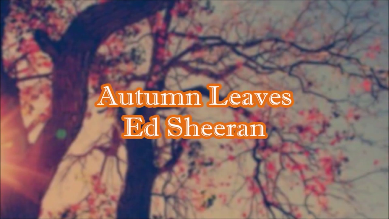 Ed Sheeran - Autumn leaves (subtitulado ingles - español) - YouTube