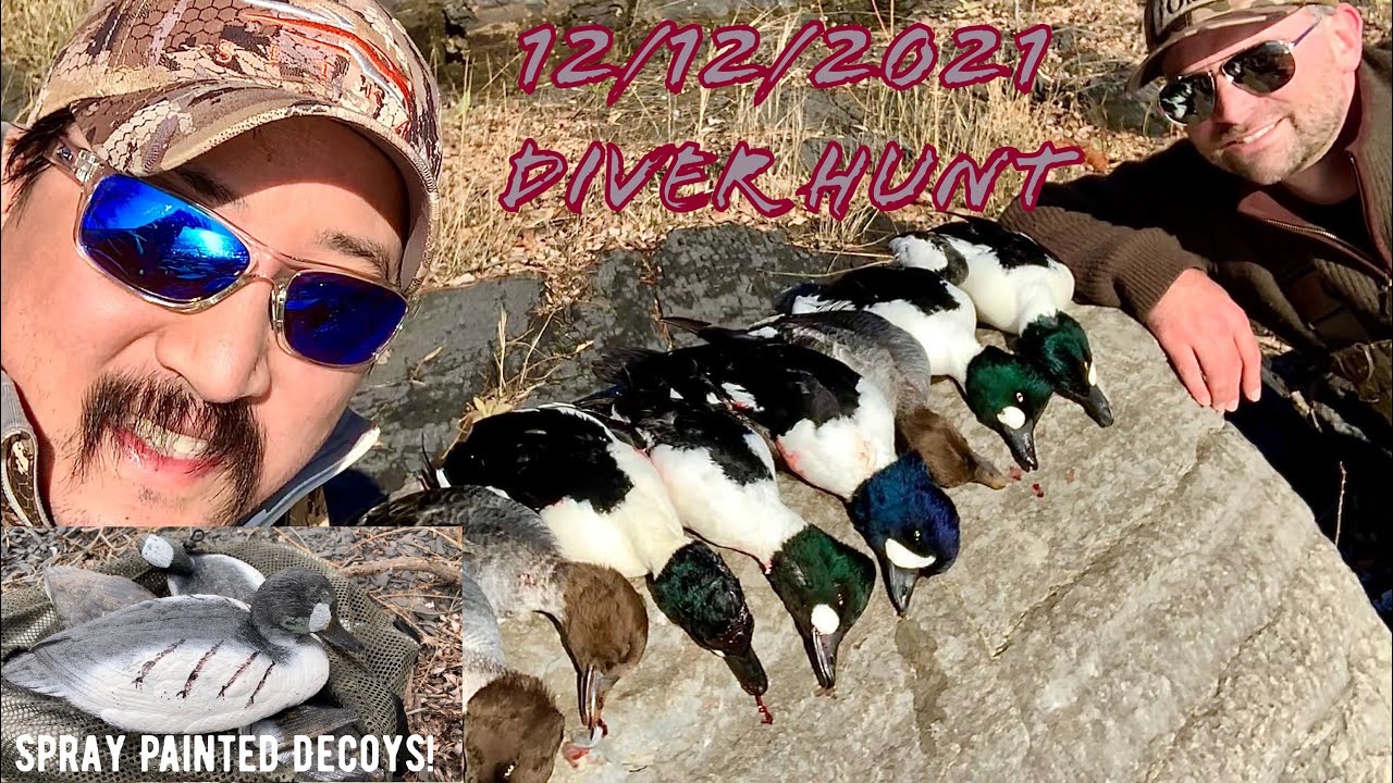 December 2021 Diver Duck Hunt on Lake Champlain | Barrows Down! - YouTube