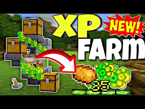 Minecraft 1.21 Easiest Potato XP Farm for Bedrock and Java - YouTube