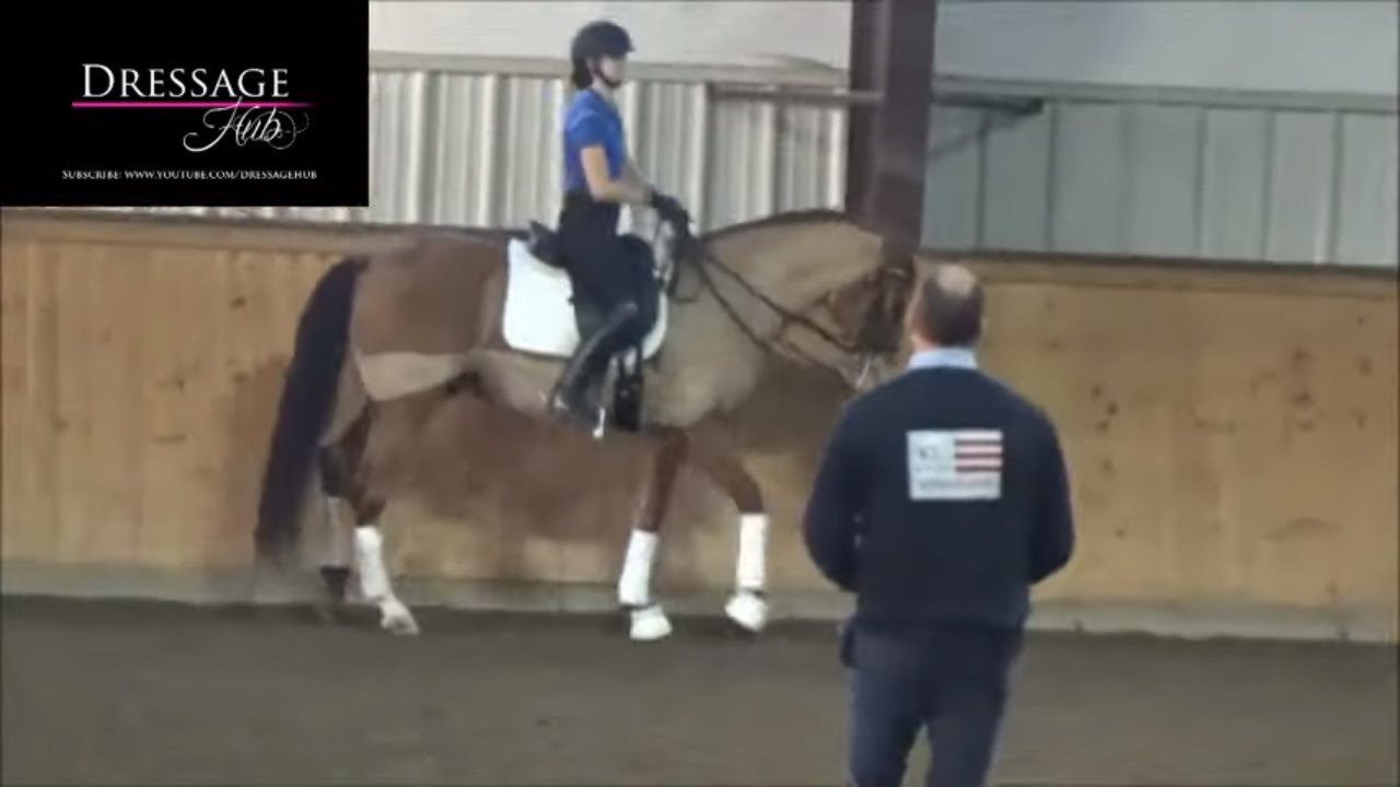 Jeremy Steinberg: Extreme Angles For Better Elevation In Dressage - YouTube