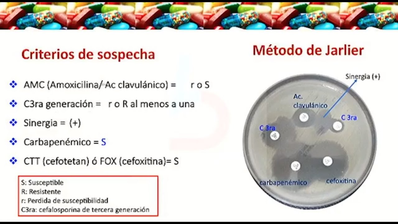"Métodos para la identificación de la Resistencia bacteriana con base a ...