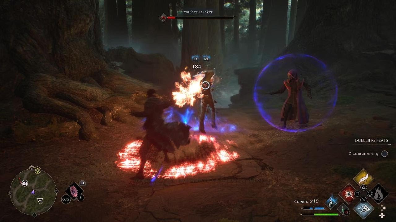 Hogwarts Legacy |Wolf Animagus Encounter - YouTube