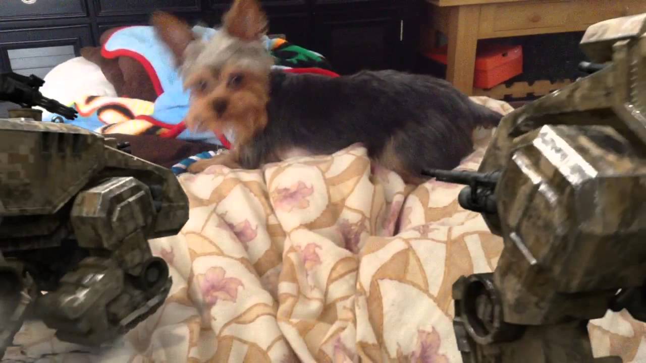 Thor Thor vs Robots - YouTube