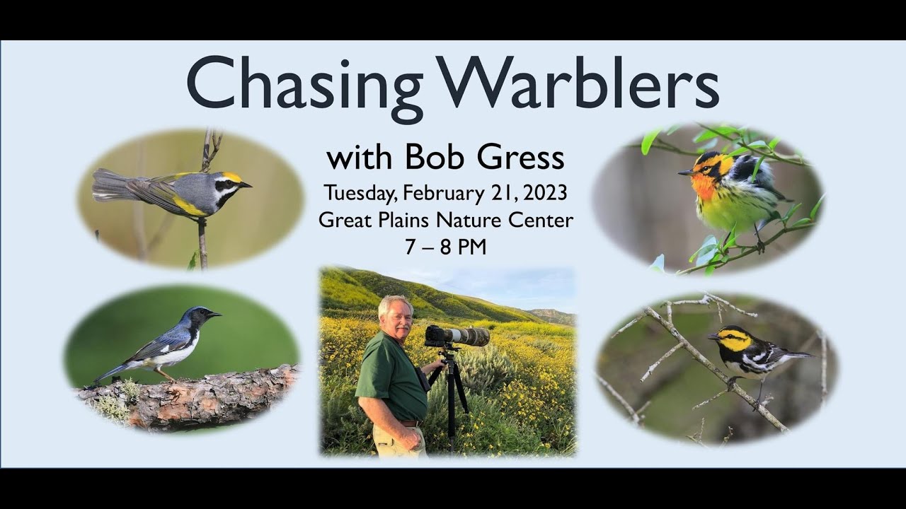 Warblers with Bob Gress - YouTube