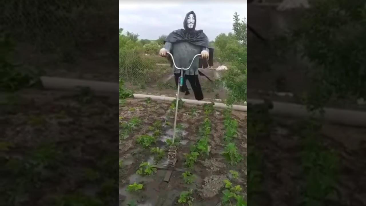 Modern Scarecrow (මොඩ් පඹයා) - YouTube