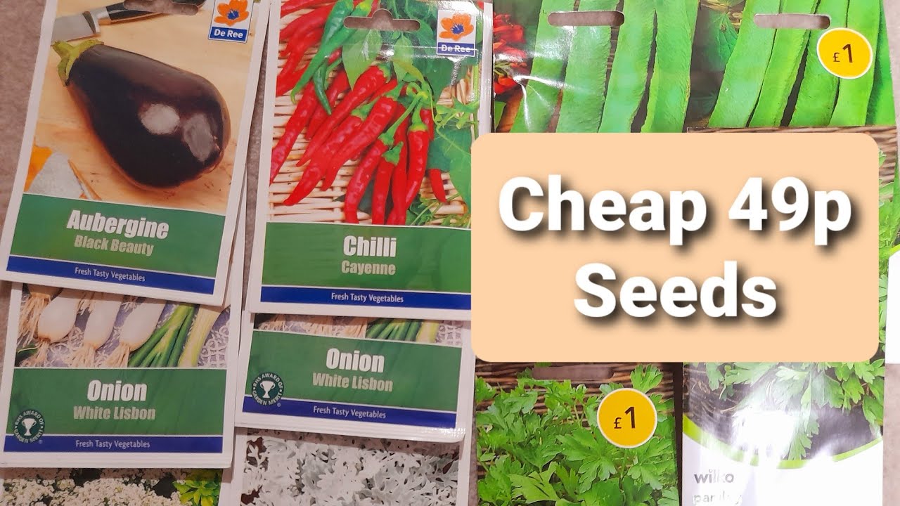 Cheap 49p Seeds 😱 Gardening on a Budget 💷- UK - Navigating Seed ...