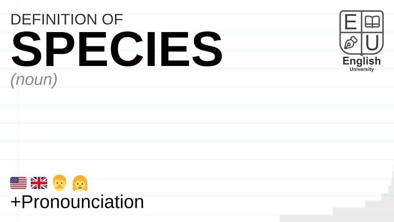 SPECIES meaning, definition & pronunciation | What is SPECIES? | How to ...