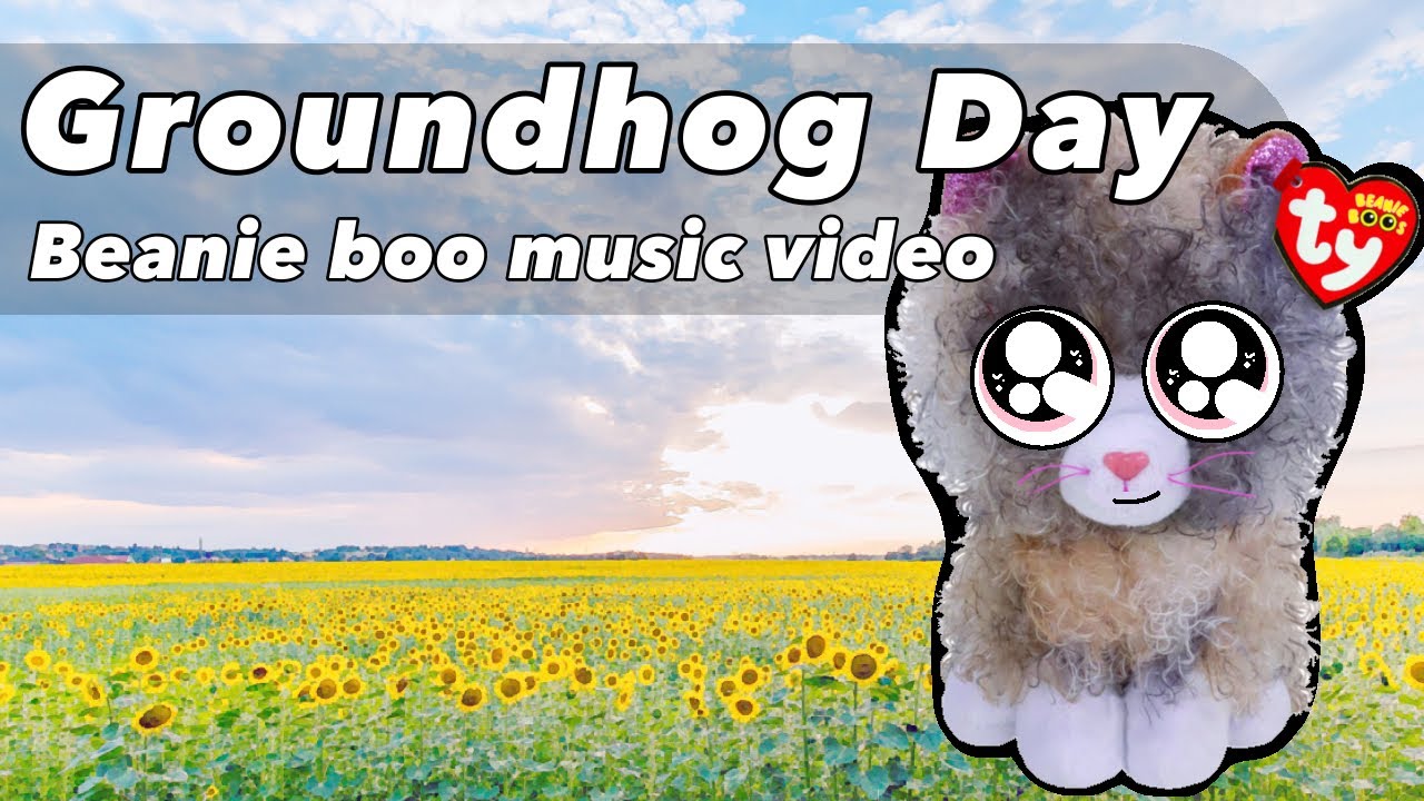 “Groundhog Day” Beanie Boo Music Video - YouTube