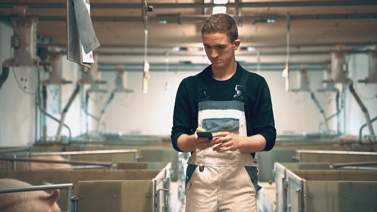 Smart Feeder - next generation of feeders - YouTube