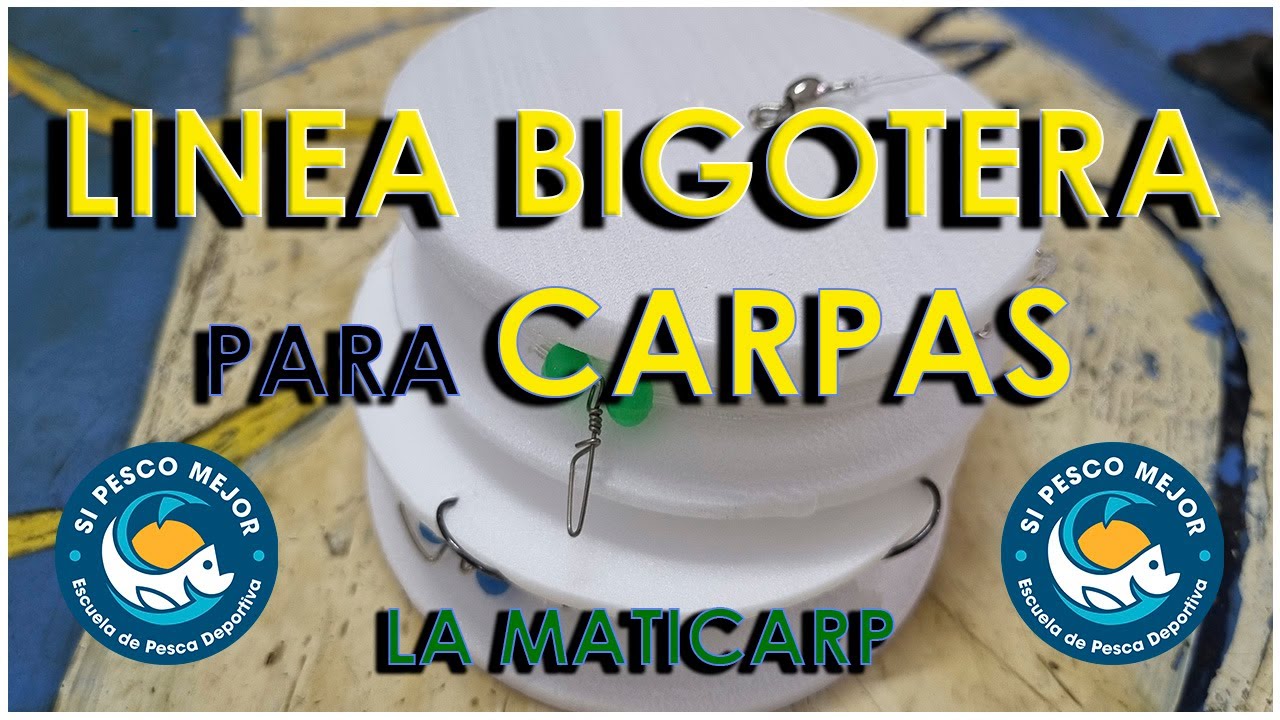 LINEA BIGOTERA PARA CARPAS / MUY BUEN APAREJO, MIRA ! - YouTube