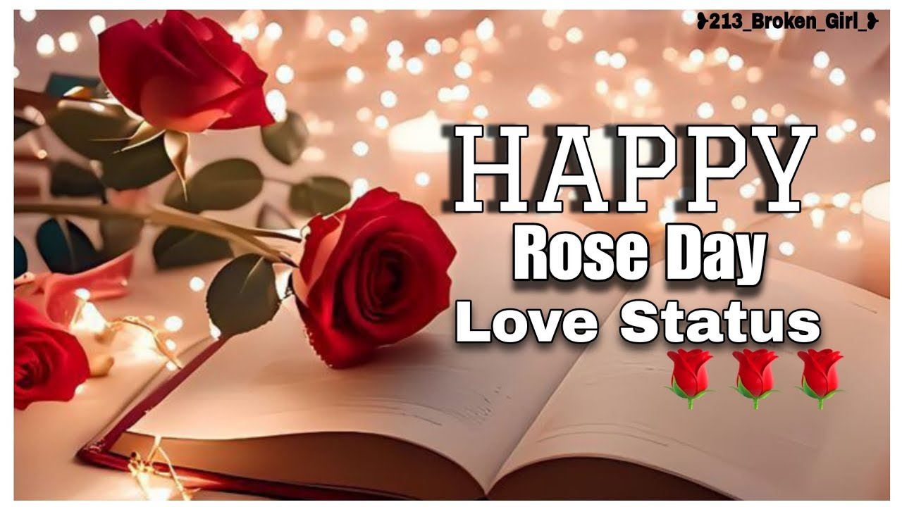 Rose Day status 2025🌹Happy Rose Day 2025🌹Rose Day 2025🌹 Rose Day 2025# ...