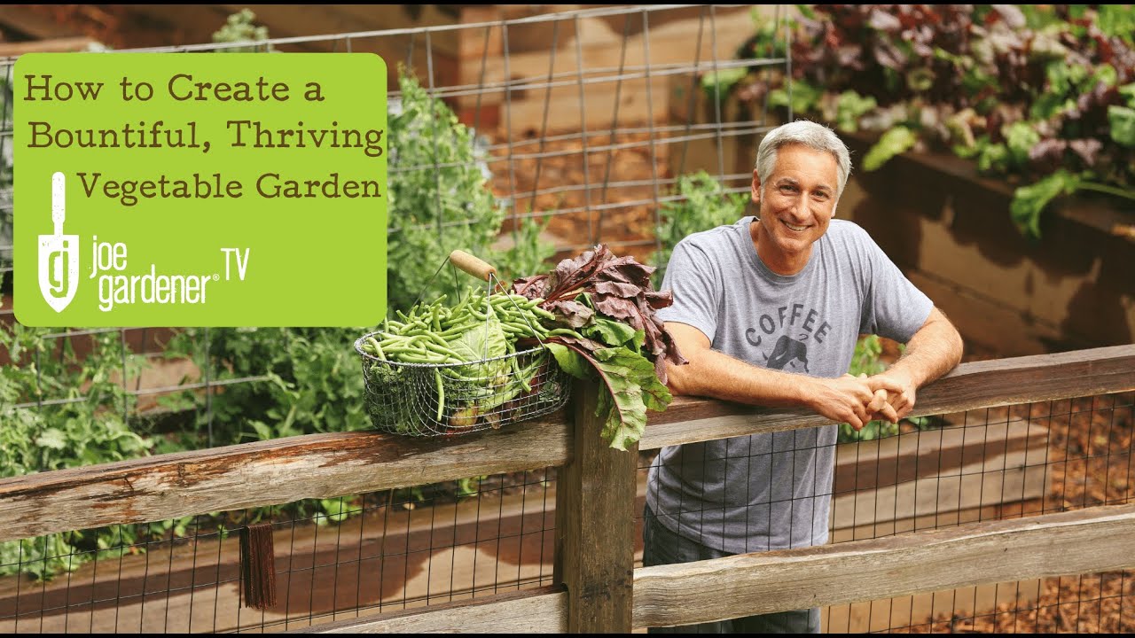 How to Create a Thriving, Productive Vegetable Garden - YouTube