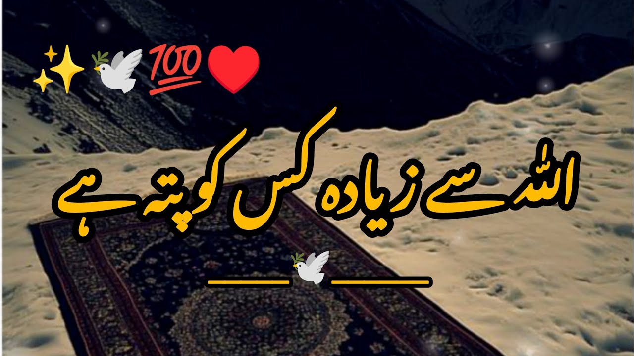 ALLAH pak s behter koi nhi janta apko 🙌🏼💯♥️ - YouTube
