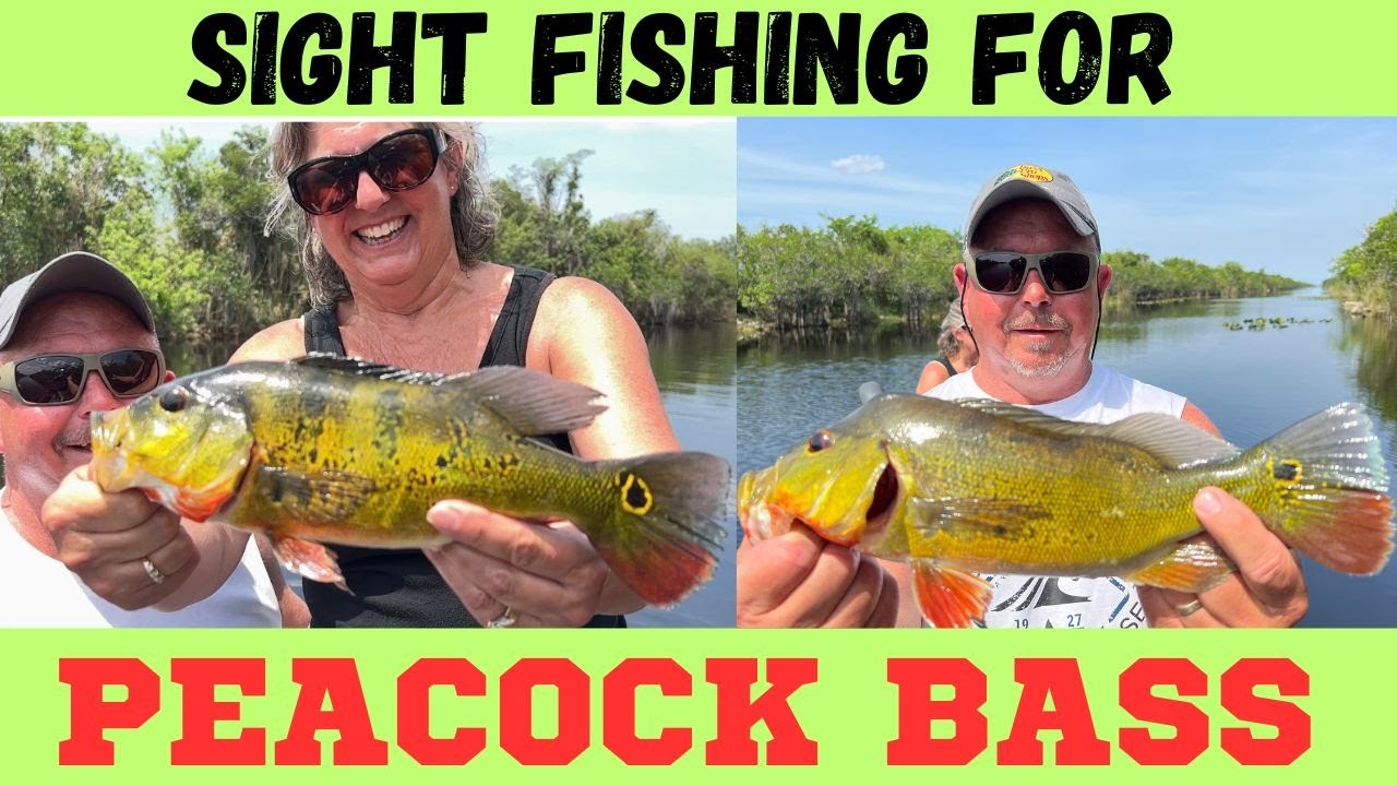 WHEN THE BITE GETS TUFF, SIGHT FISH!! - YouTube