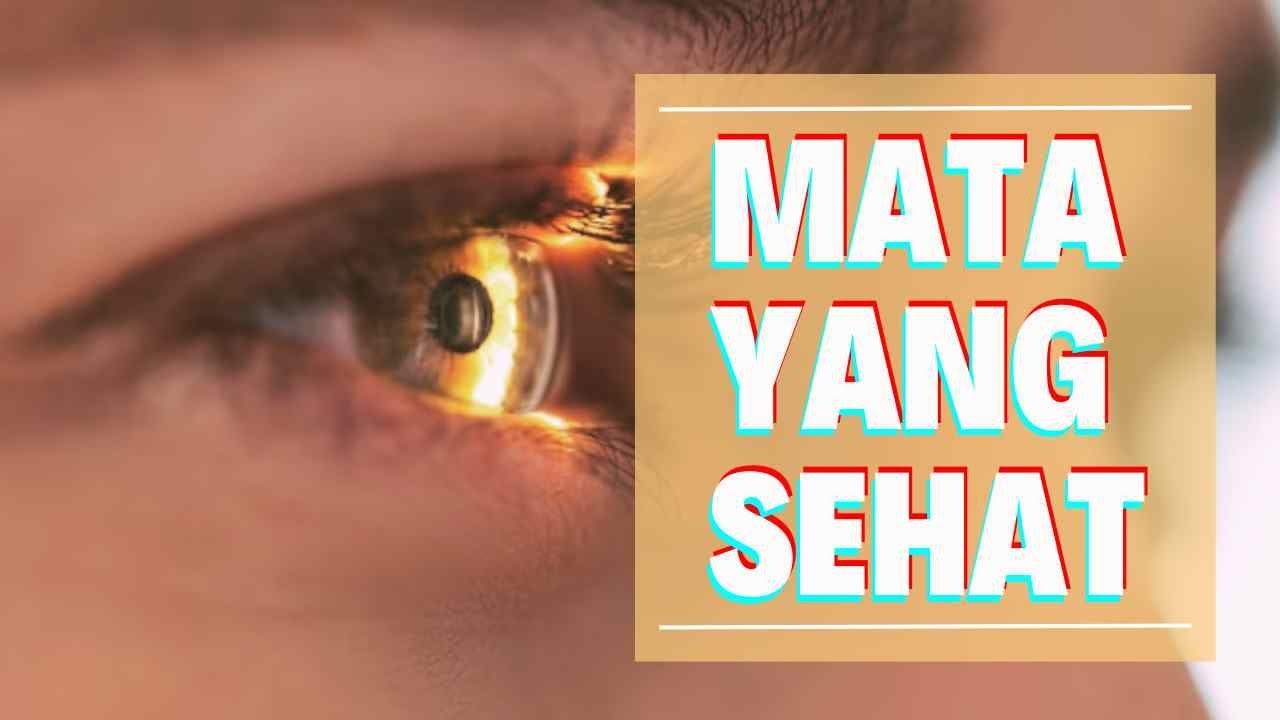 Mata Yang Sehat - Our Daily Bread - YouTube