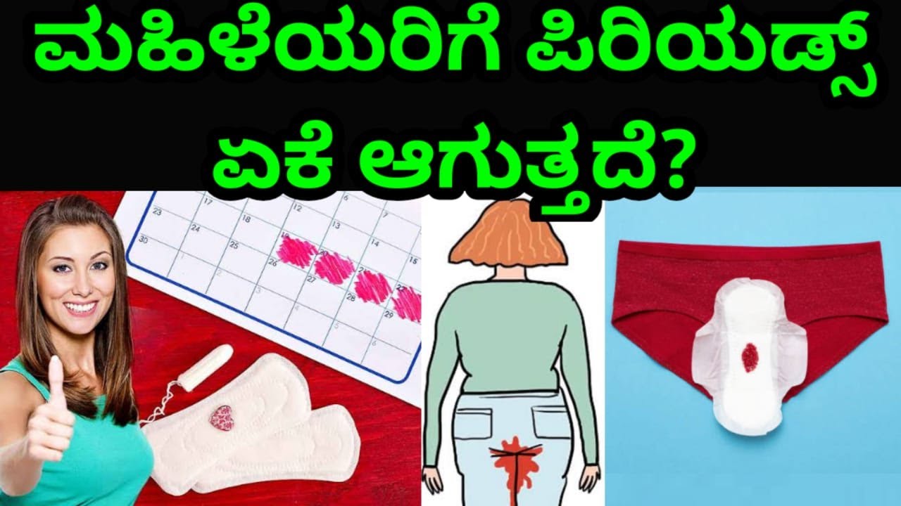 ಮಹಿಳೆಯರಿಗೆ ಪಿರಿಯಡ್ಸ್ ಏಕೆ ಆಗುತ್ತದೆ? How Periods Occur in Women| Women ...