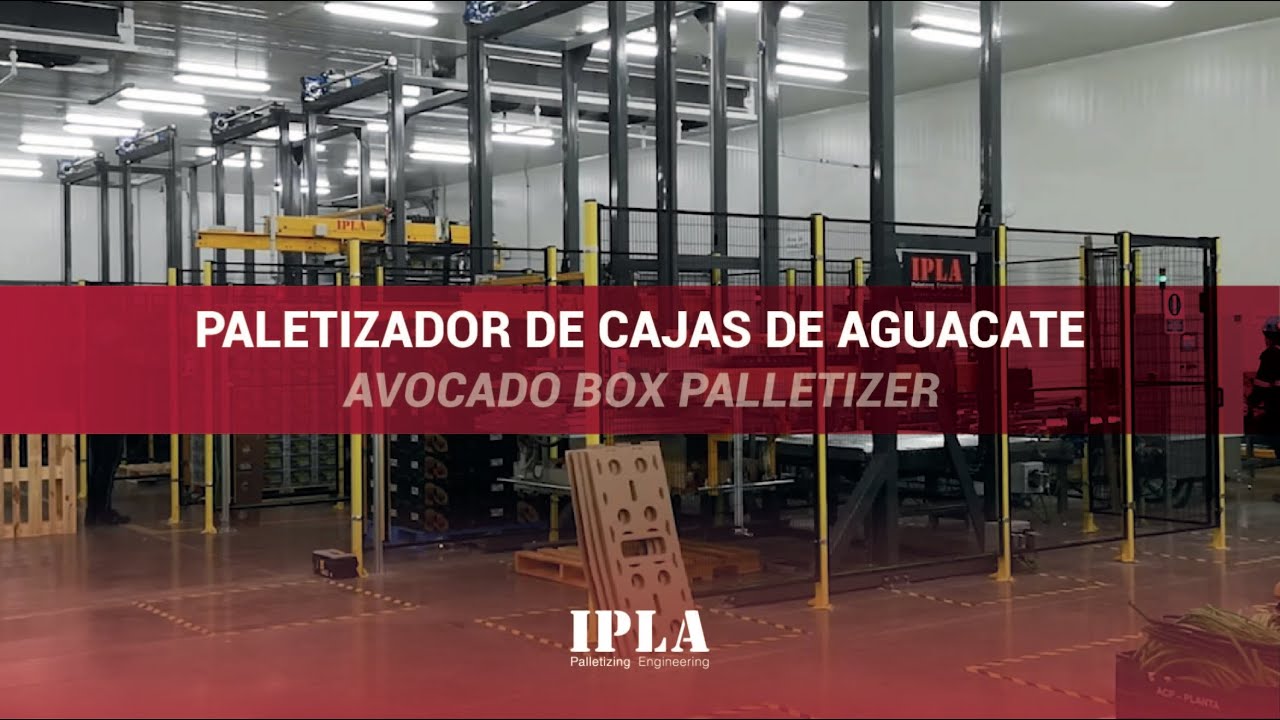 IPLA - Instalación de paletizado Agrícola Cerro Prieto - YouTube