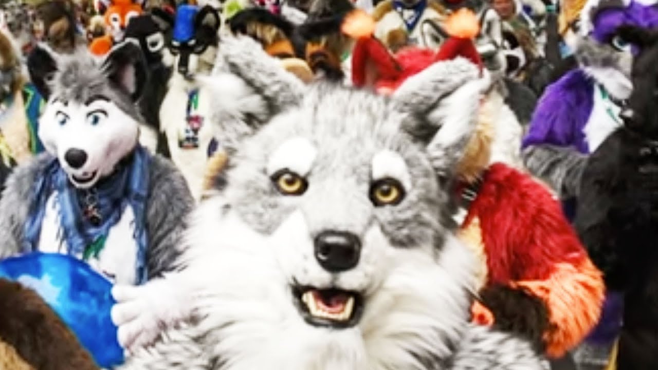 Right-Wingers Are Reviving The War On Furries - YouTube