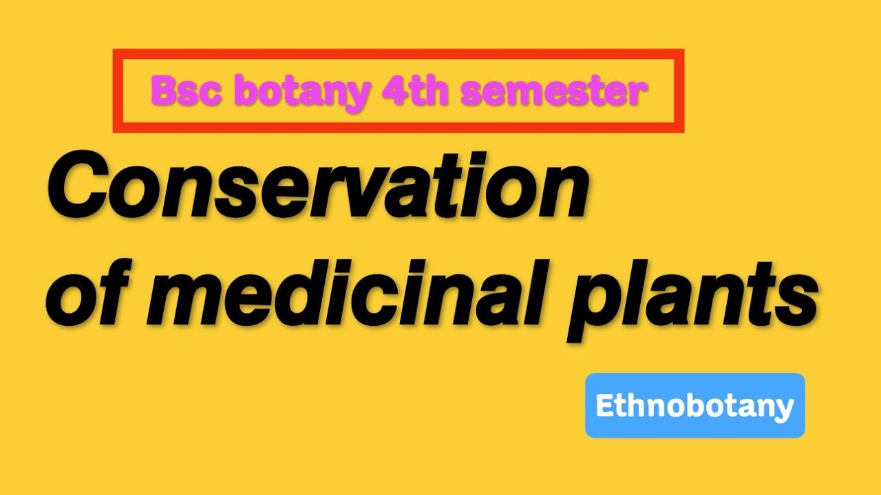 Conservation of medicinal plants || Ethnobotany || Bsc botany 4th ...