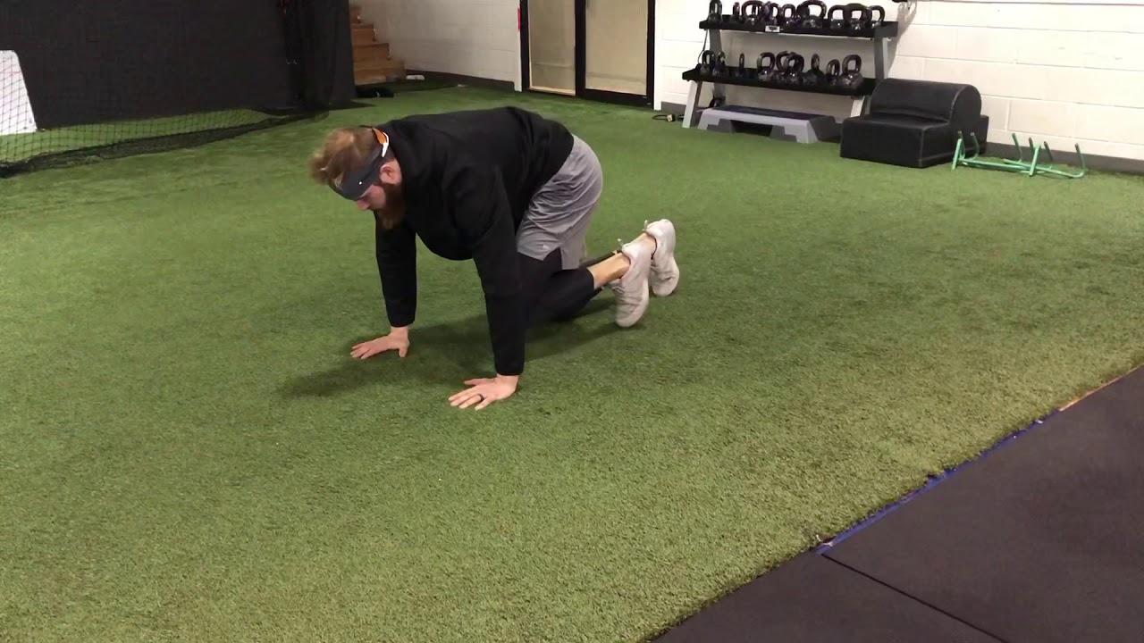 All Fours Donkey Kick to Fire Hydrant - YouTube