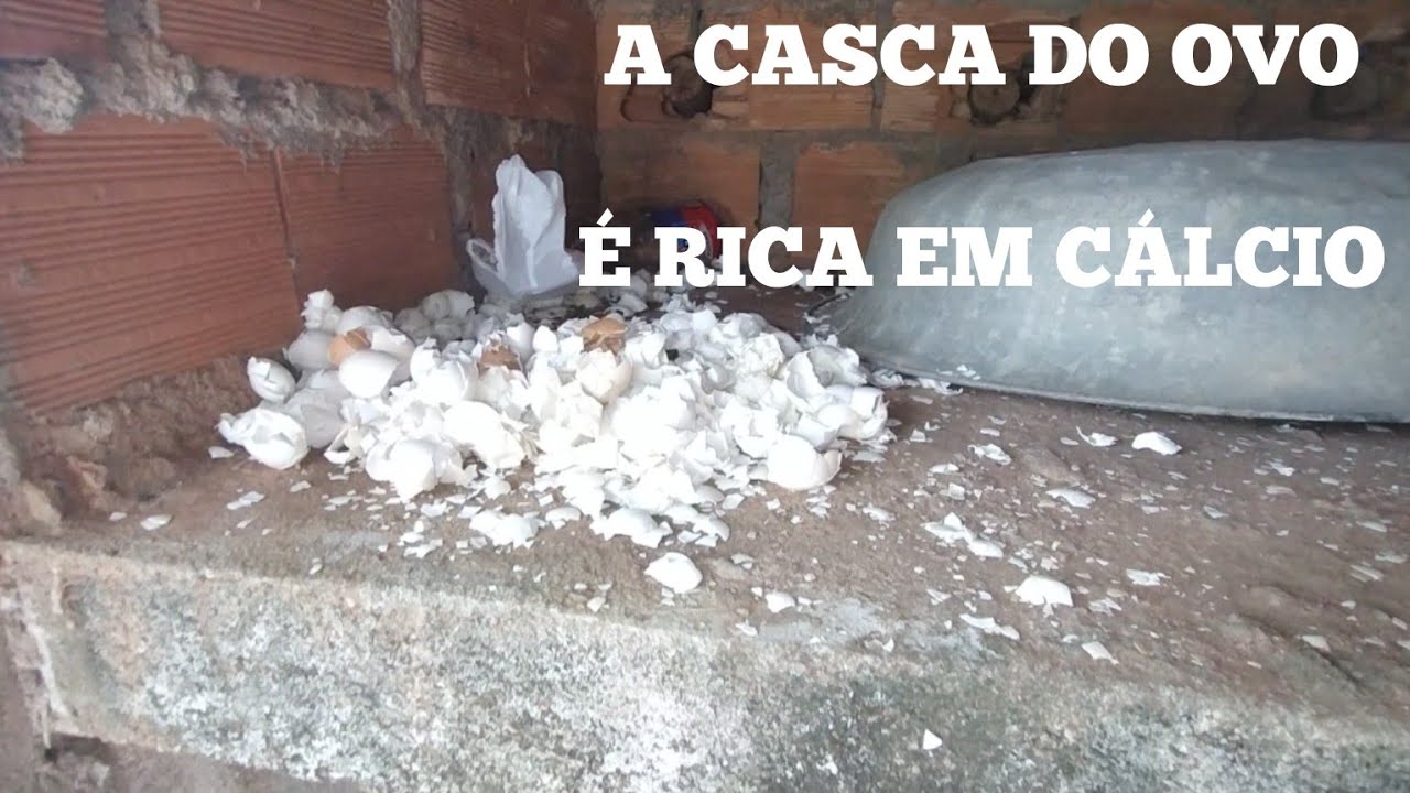 O cálcio presente na casca do ovo auxilia no desenvolvimento de raízes ...