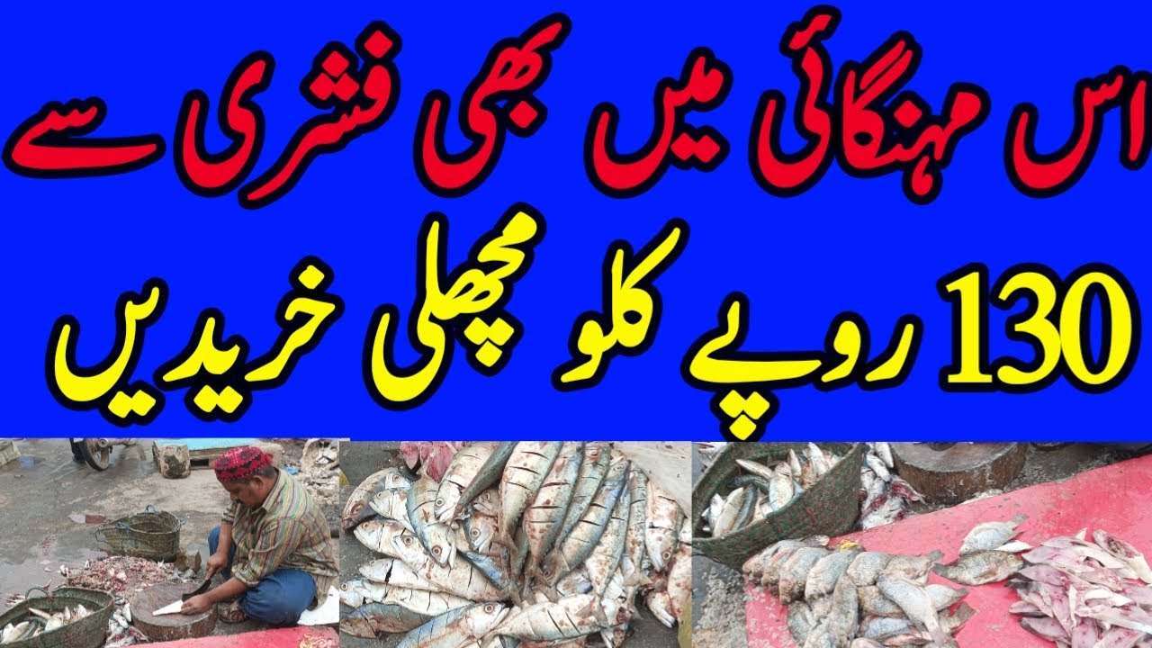 Fish Market karachi | Fishry| Fish Point| Sasti Machli mandi | Samonder ...
