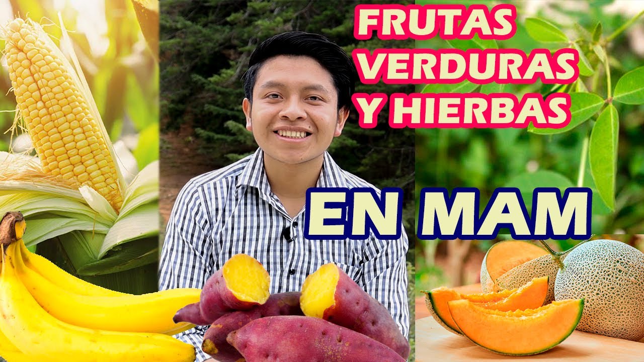 LAS FRUTAS, VERDURAS, HIERBAS EN EL IDIOMA MAM | IDIOMA MAYA - YouTube