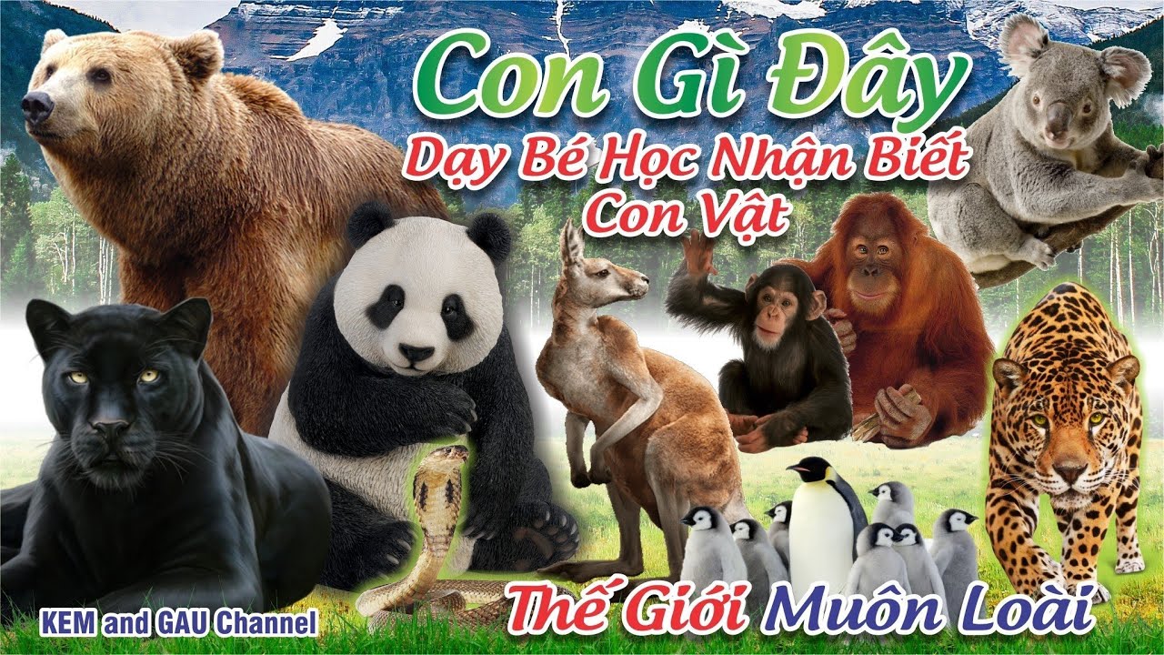 CON GÌ ĐÂY | DẠY BÉ HỌC NHẬN BIẾT CON VẬT | Animals - Thế Giới Muôn ...
