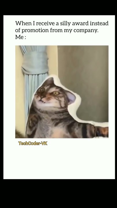 😁🤭 Programming Coding Webdevelopment Project C Javascript Funny Shortvideo Youtube