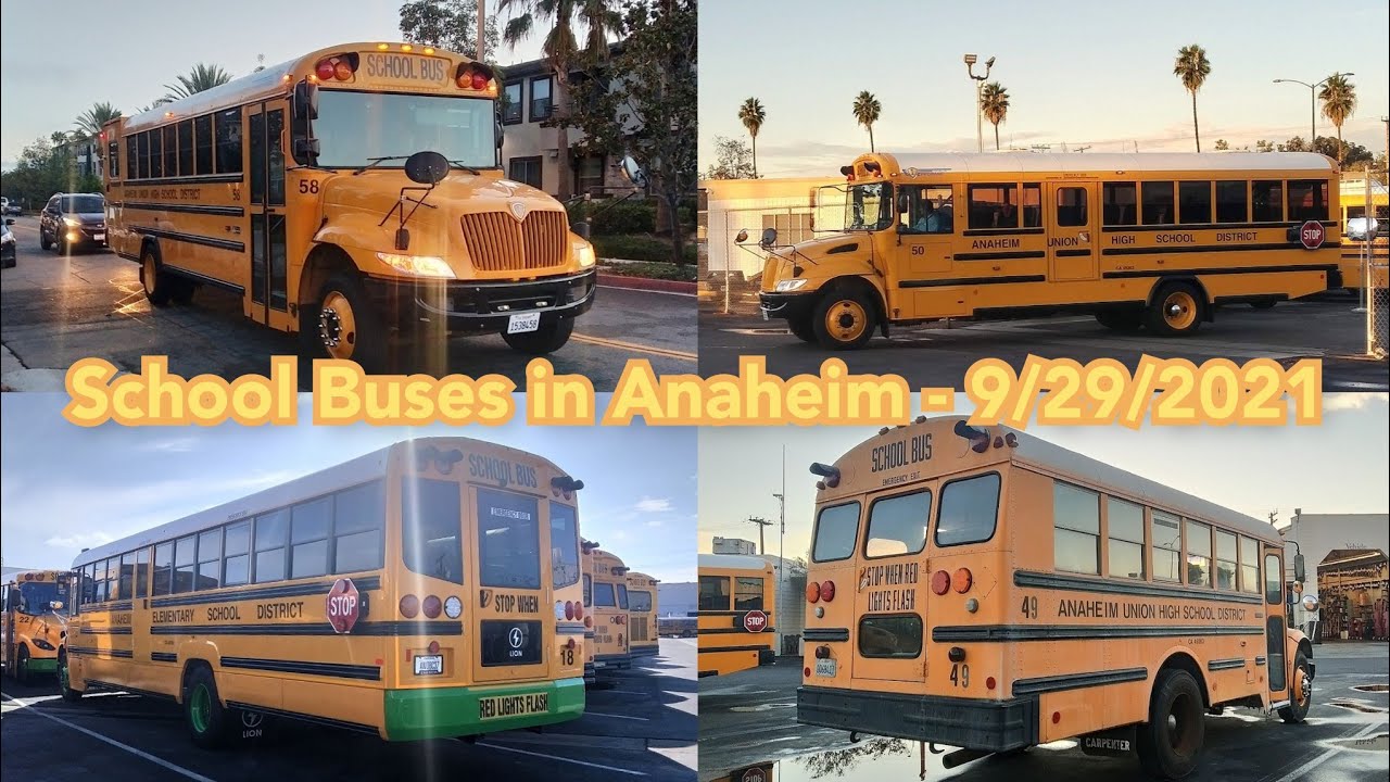 School Buses in Anaheim - 9/29/2021 - YouTube