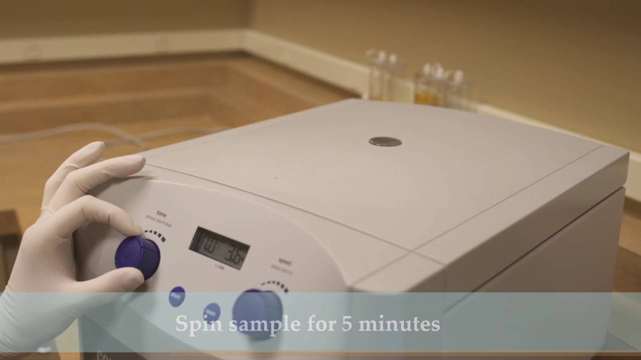 PRP Processing With the Companion Regenerative Therapy System - YouTube