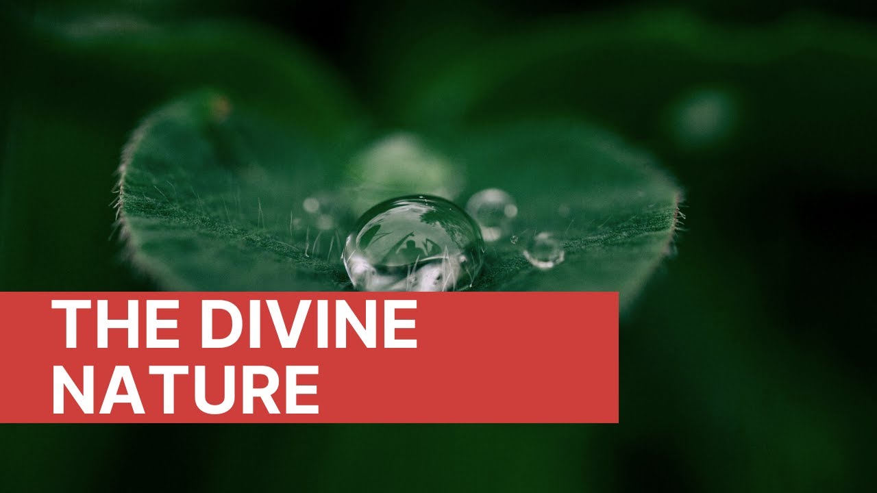 DIVINE NATURE -- Identifying with God - YouTube