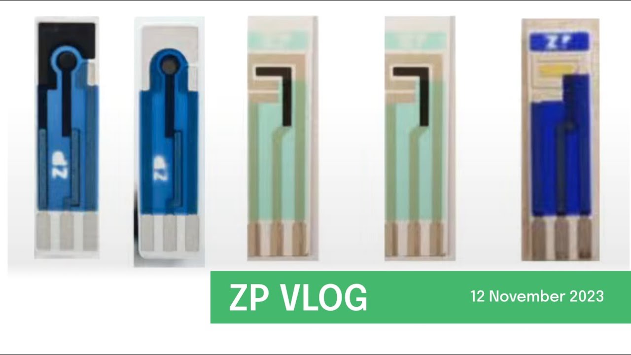 ZP Vlog 12 November 2023 - YouTube