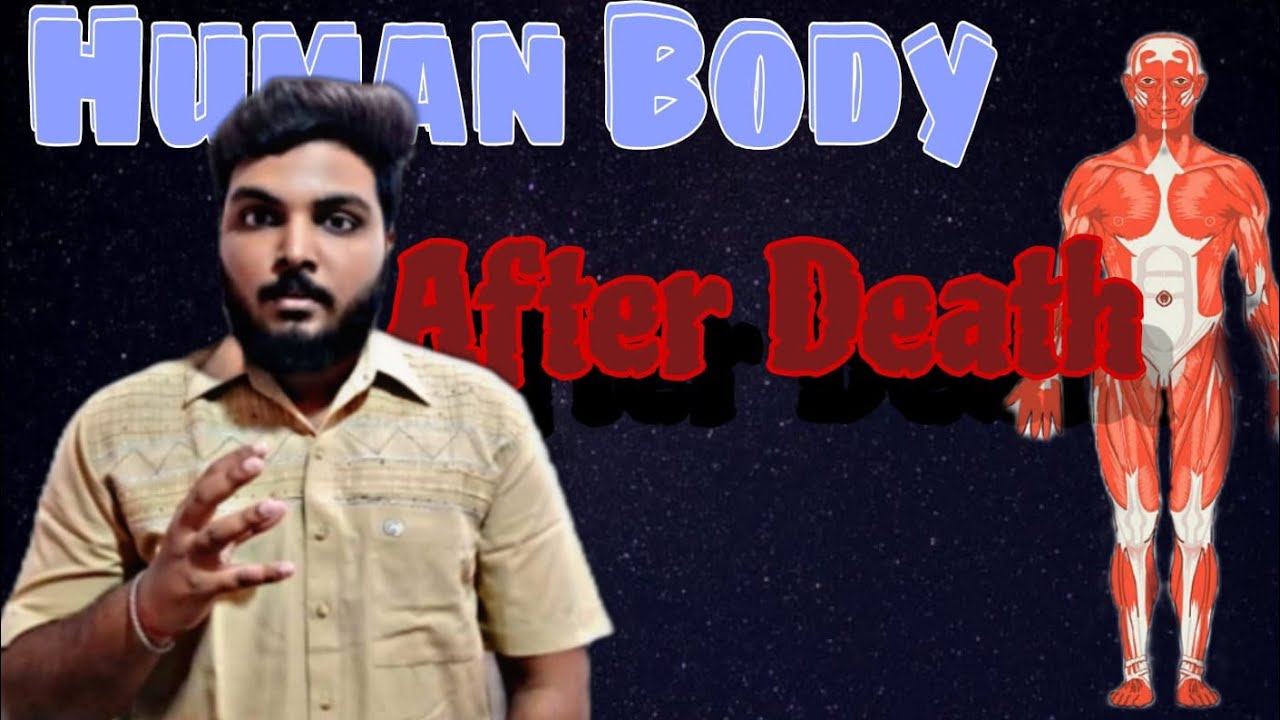 What happens to the body after death?| Tamil |M.S Theory - YouTube