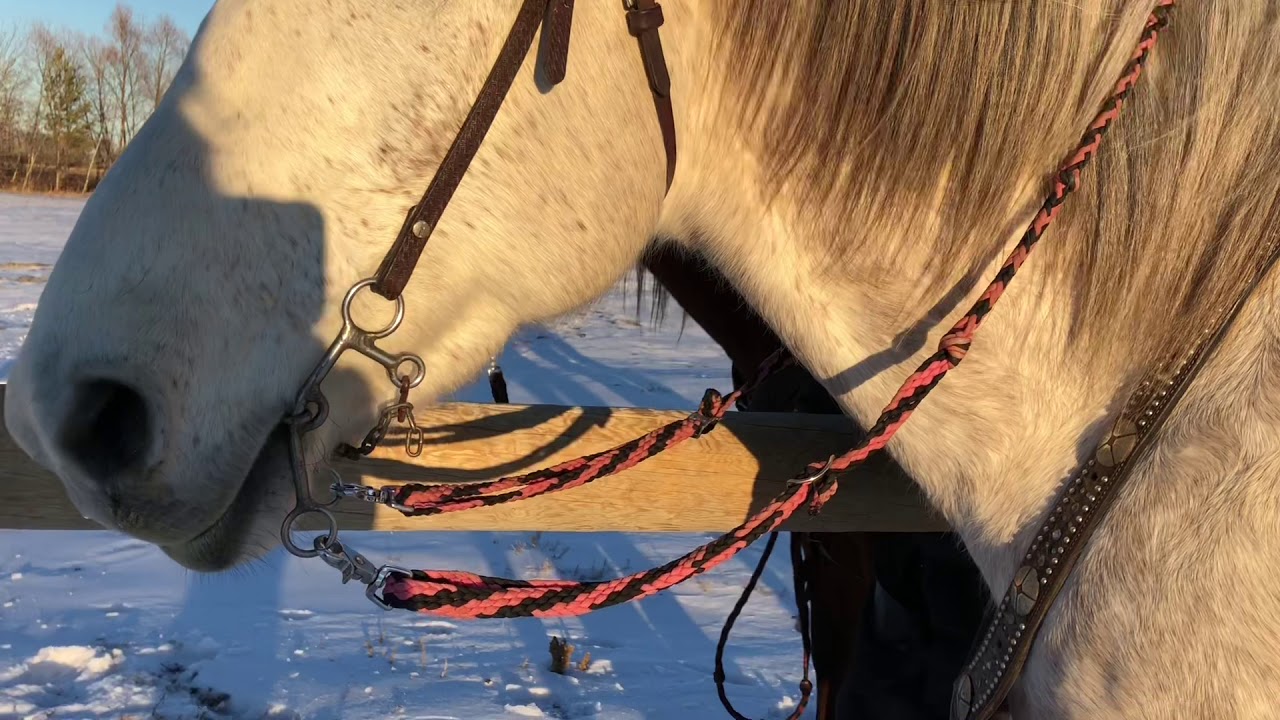 Braided Barrel Reins - YouTube