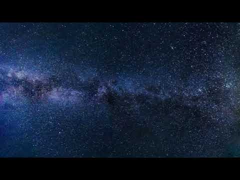 Velvyn – The Nest (Official Audio)