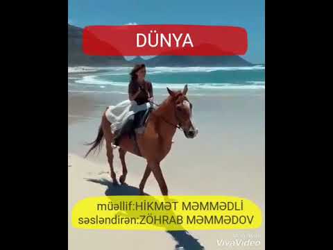 DÜNYA...(HİKMƏT MƏMMƏDLİ)